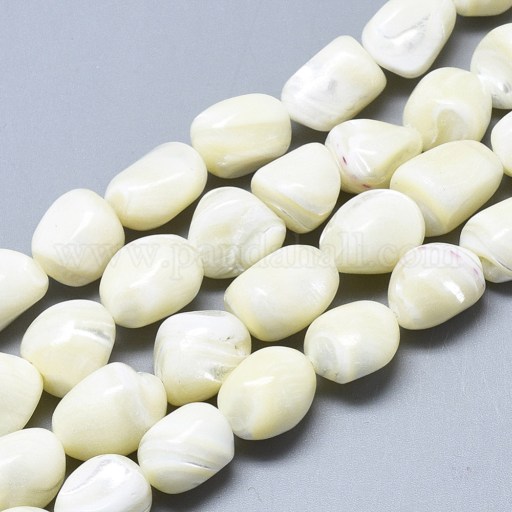 Wholesale Natural Trochid Shell/Trochus Shell Beads - Pandahall.com