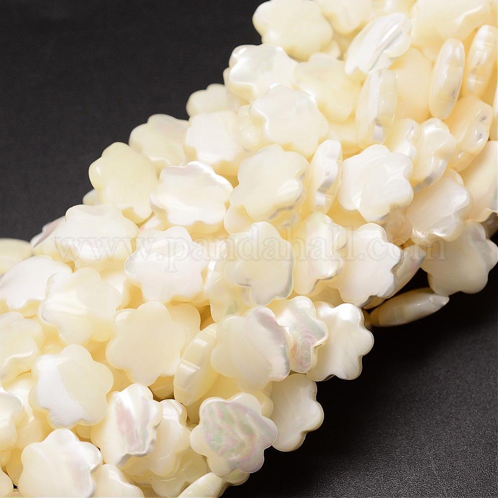 Wholesale Natural Trochid Shell/Trochus Shell Beads Strands - Pandahall.com
