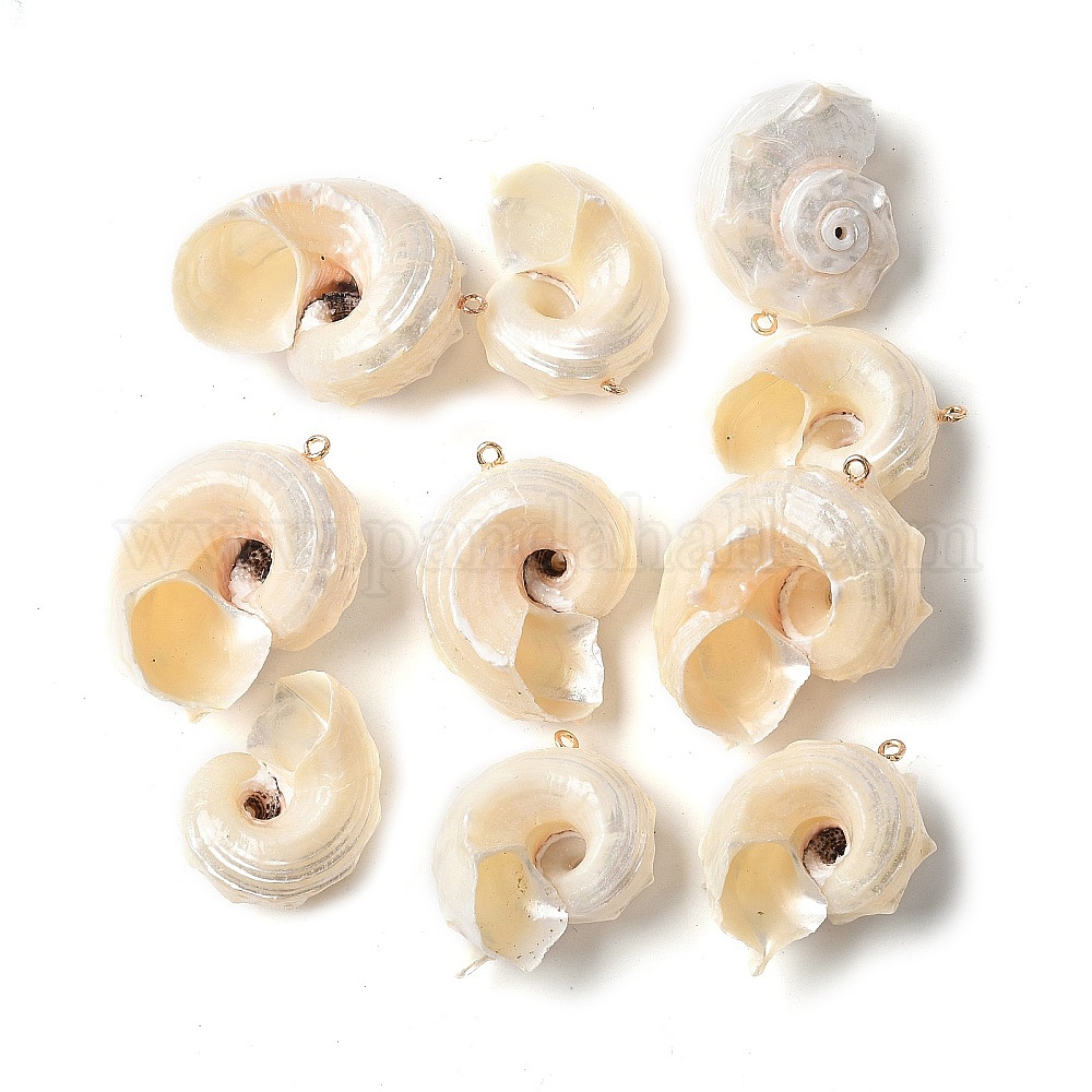 Wholesale Natural Sea Shell Pendants - Pandahall.com