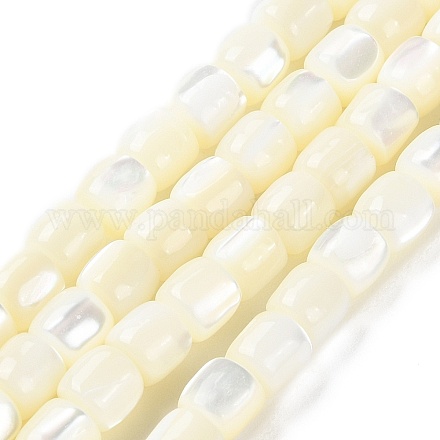 Wholesale Natural Trochus Shell Beads Strands - Pandahall.com